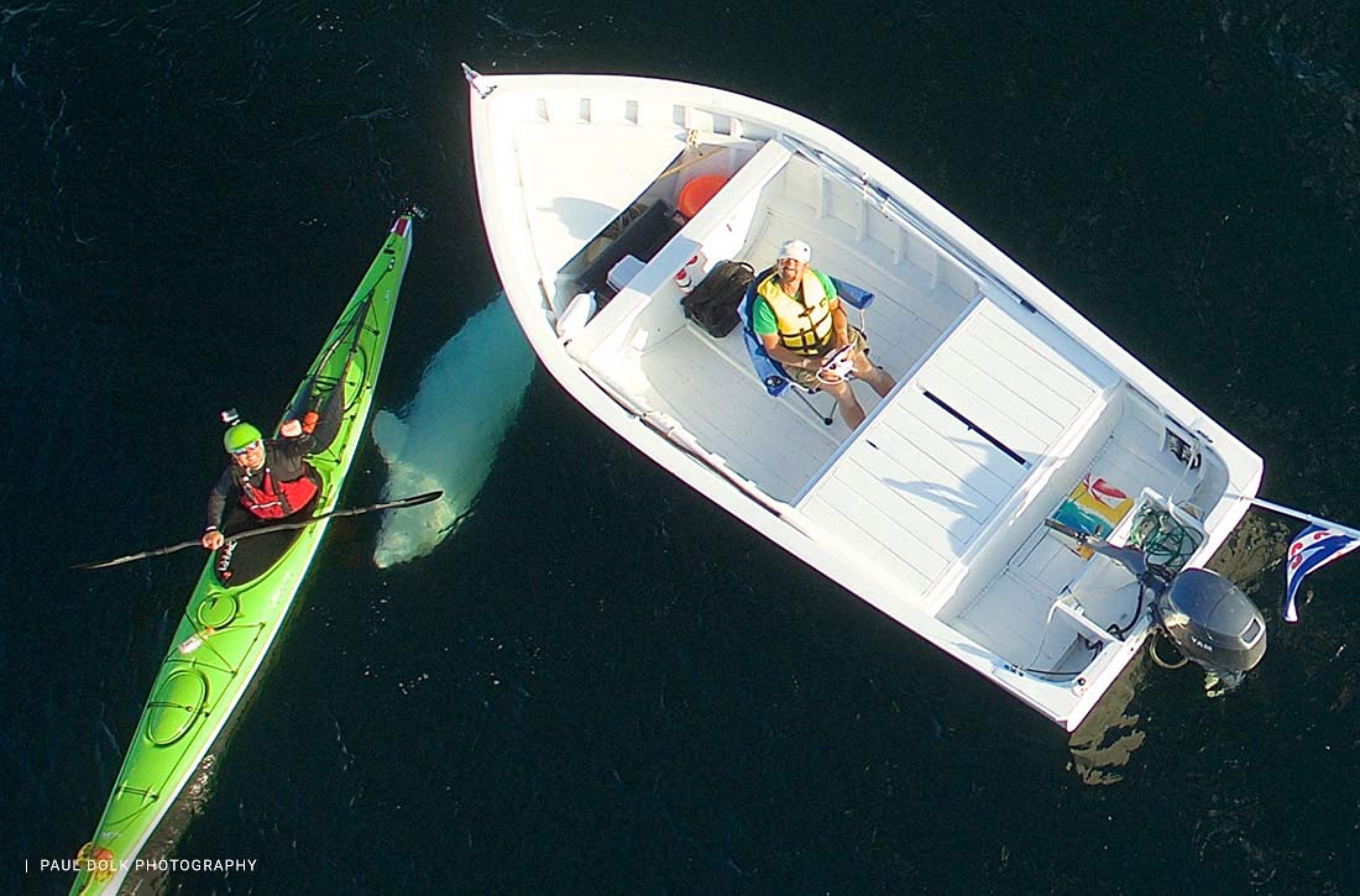 King of the Coast – Delta Kayaks