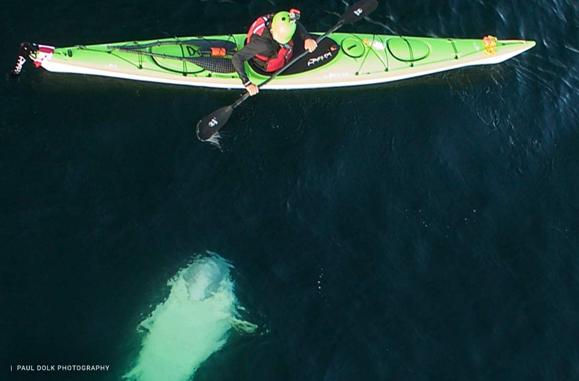 King of the Coast – Delta Kayaks